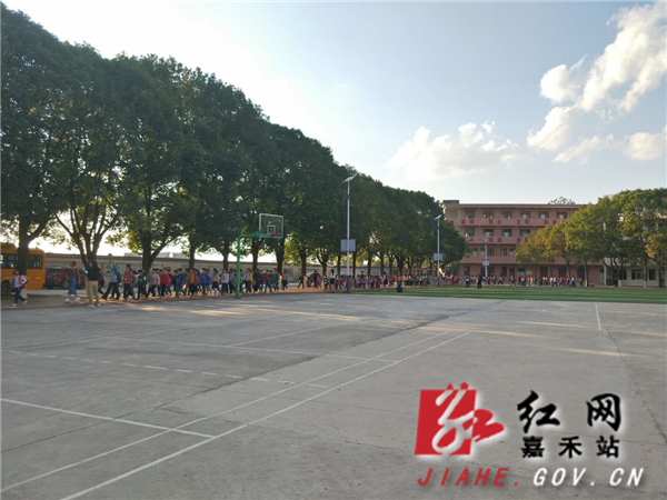 坦坪镇中心学校举行最美路队评比和展示活动_部门动态_嘉禾网